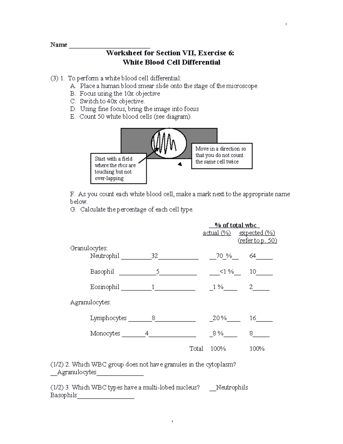 White Blood Cells Worksheet