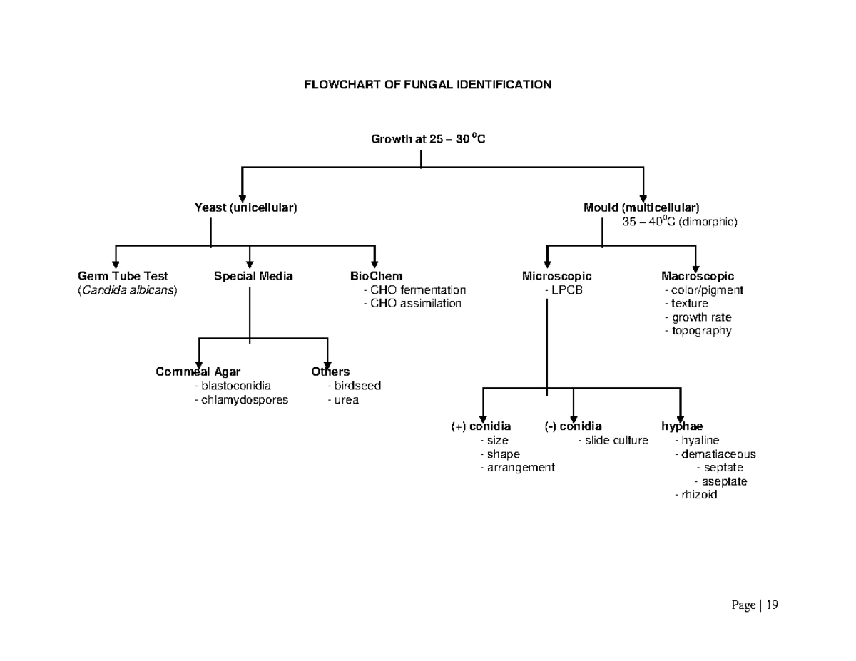 Mycology Study Notes: Fungal Structures & Functions (Course Code ...