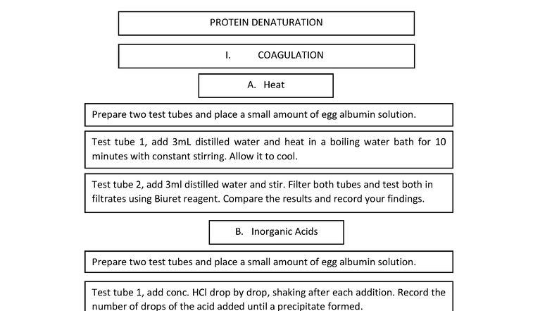 Protein Denaturation and Coagulation Experiment (Exp 5) - Studocu