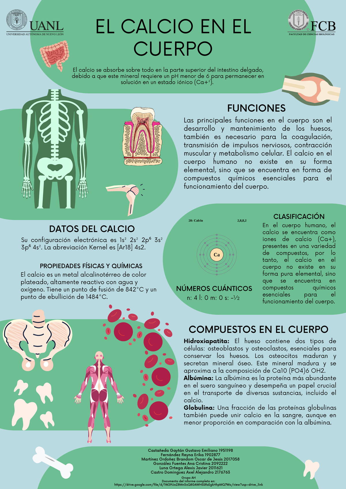 Características del Calcio: Propiedades y Funciones del Cuerpo - Studocu