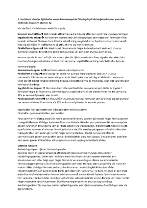 Luftvägar - Luftvägar Beskriv respirationssystemet. Uppbyggnad och ...
