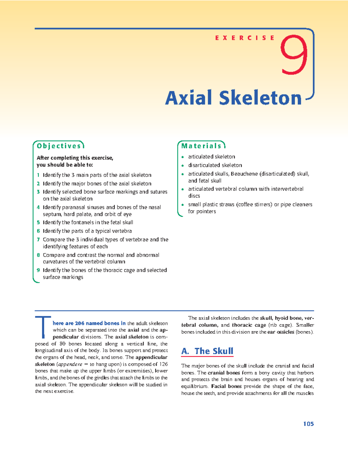 Anatomy Worksheets: Axial & Appendicular Skeleton Overview - Studocu