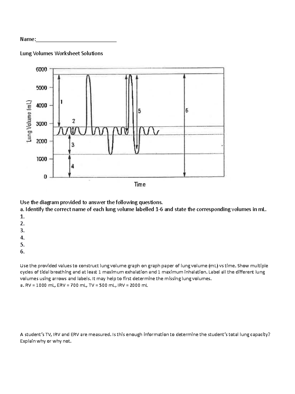 Lung Volumes Worksheet Solutions for Respiratory Physiology (BIO 101 ...