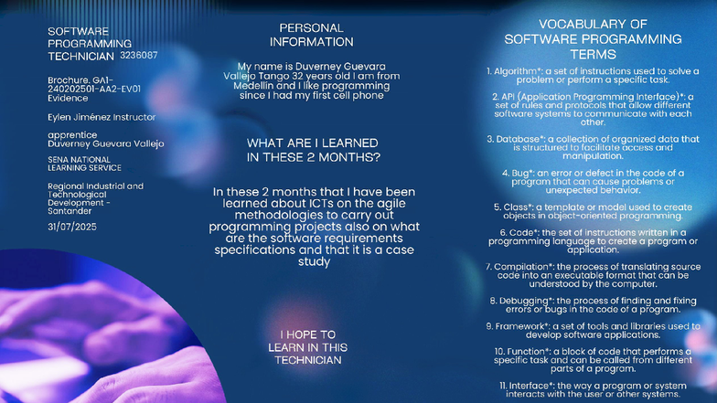 SOFTWARE PROGRAMMING VOCABULARY TECHNICIAN 3236087 NOTES - Studocu