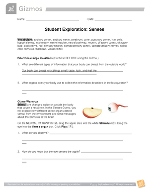 Final Exam Notes: The American Yawp - Chapter 16: Capital and Labor - I ...