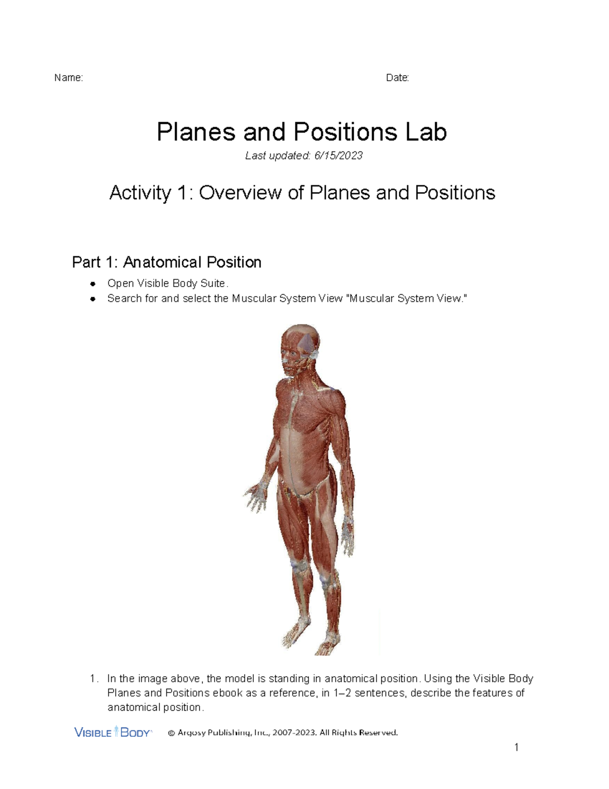 Lab Manual: Exploring Planes and Positions in Anatomy - Studocu