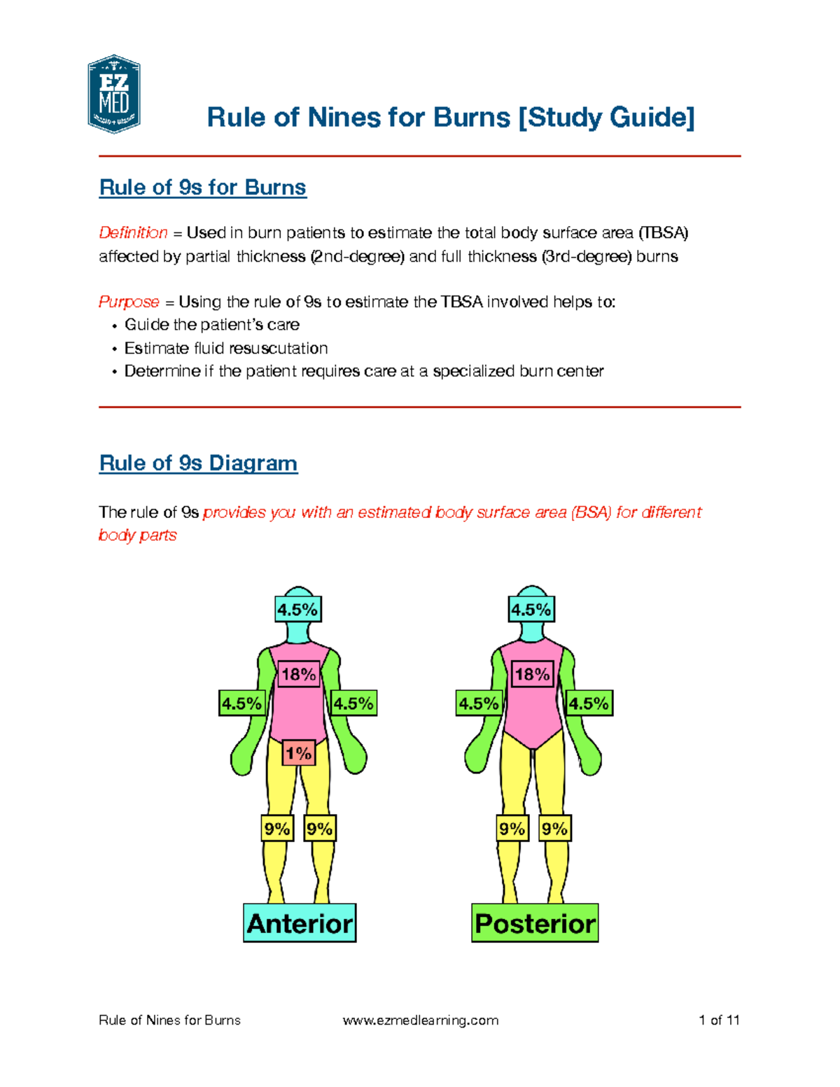 Rule+of+Nines+for+Burns+[Study+Guide] - Rule of Nines for Burns [Study ...