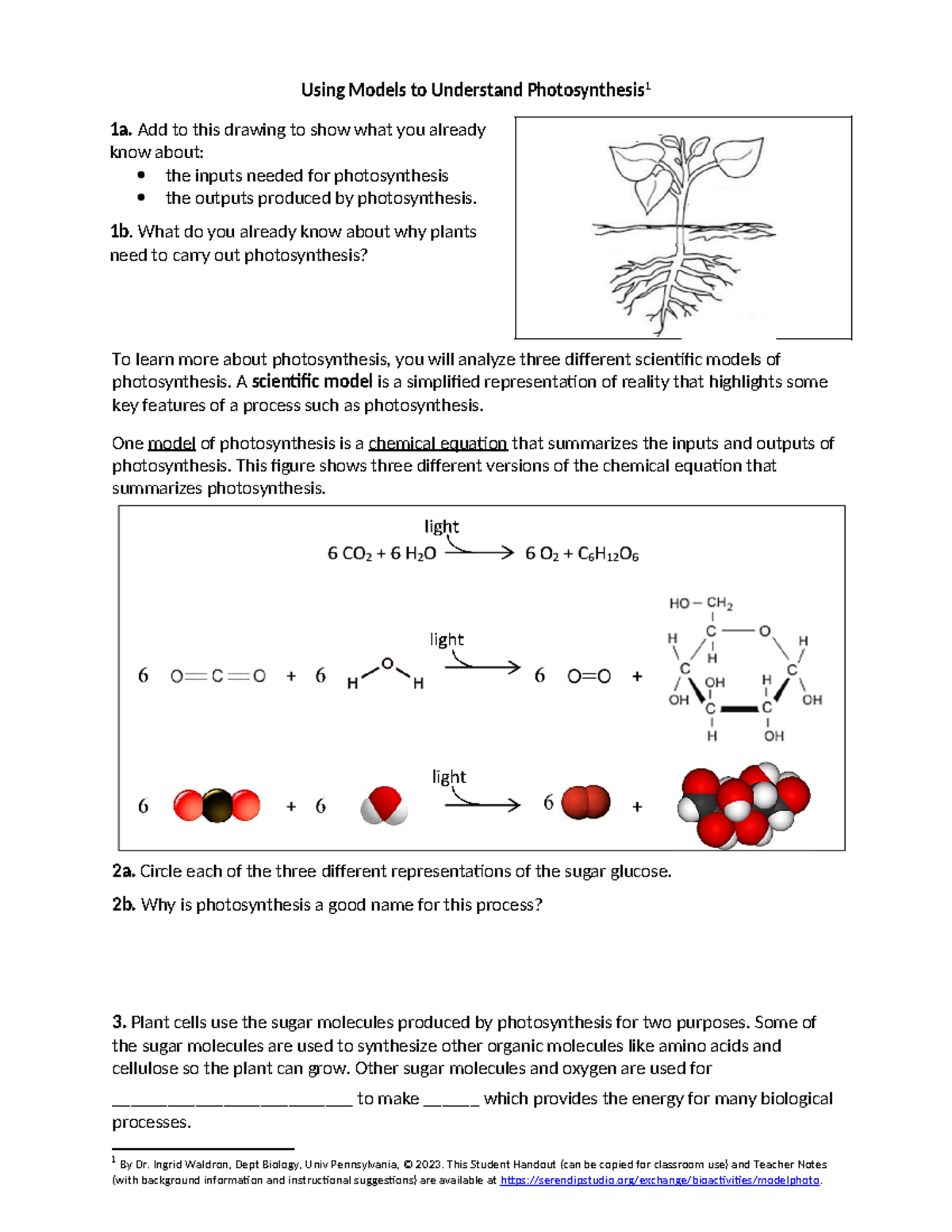 Photosynthesis Model Analysis & Input/Output Overview (BIO 101) - Studocu