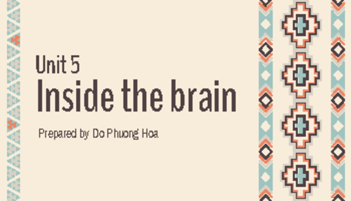 THT2 TX SL Lesson 5 (PW2) - Unit 5 Inside the brain Prepared by Do ...