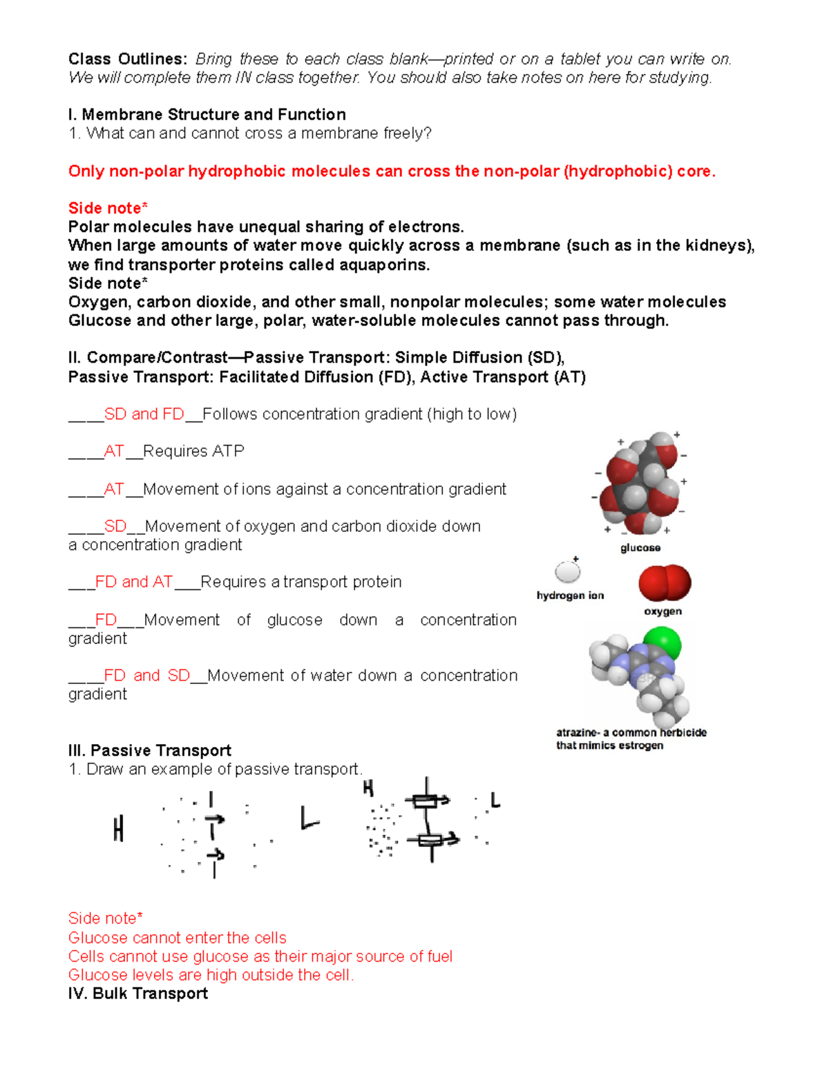 Lesson 4 Class Outline Membrane Structure and Function - Class Outlines ...