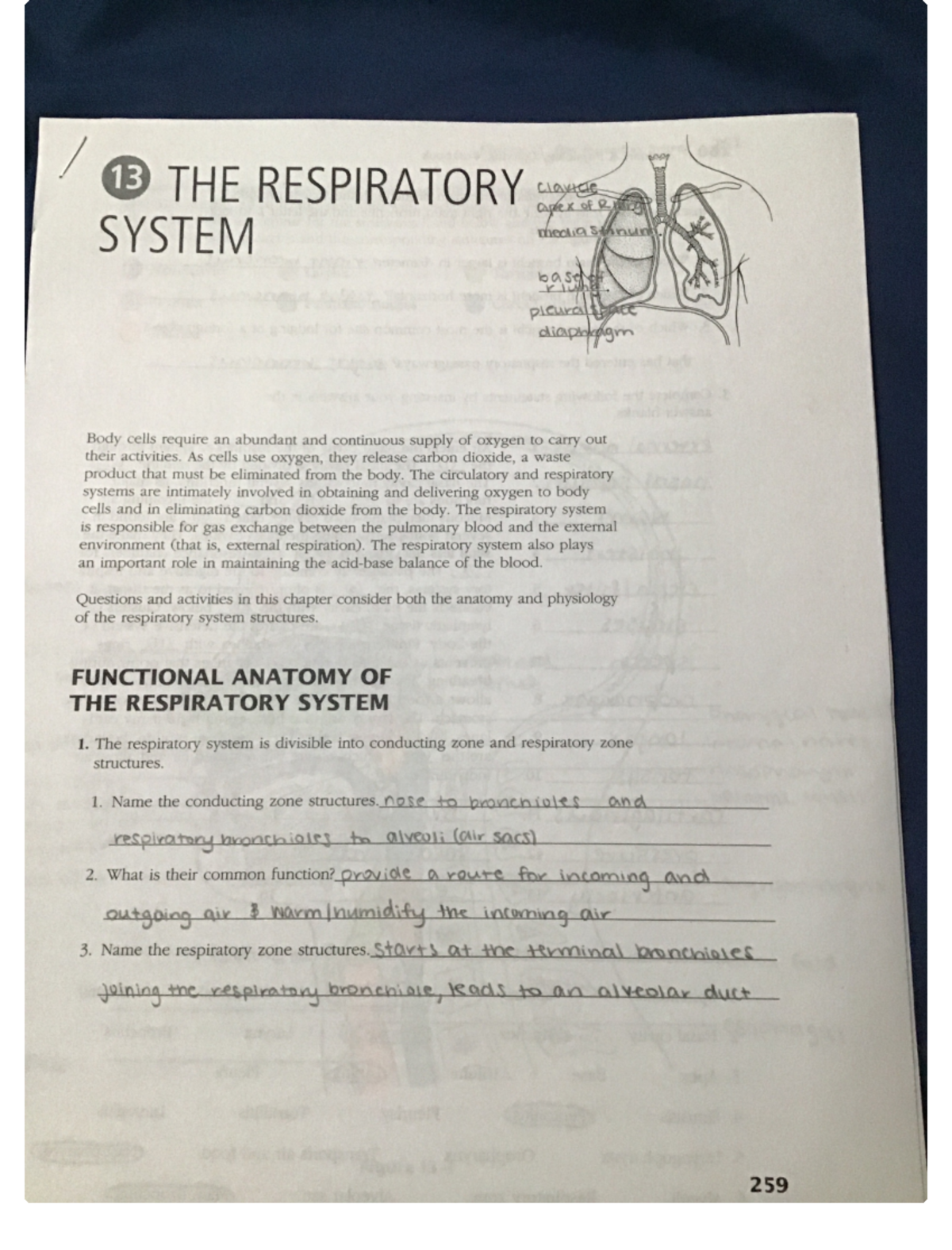 Respiratory System Study Packet for Exam Preparation - Studocu