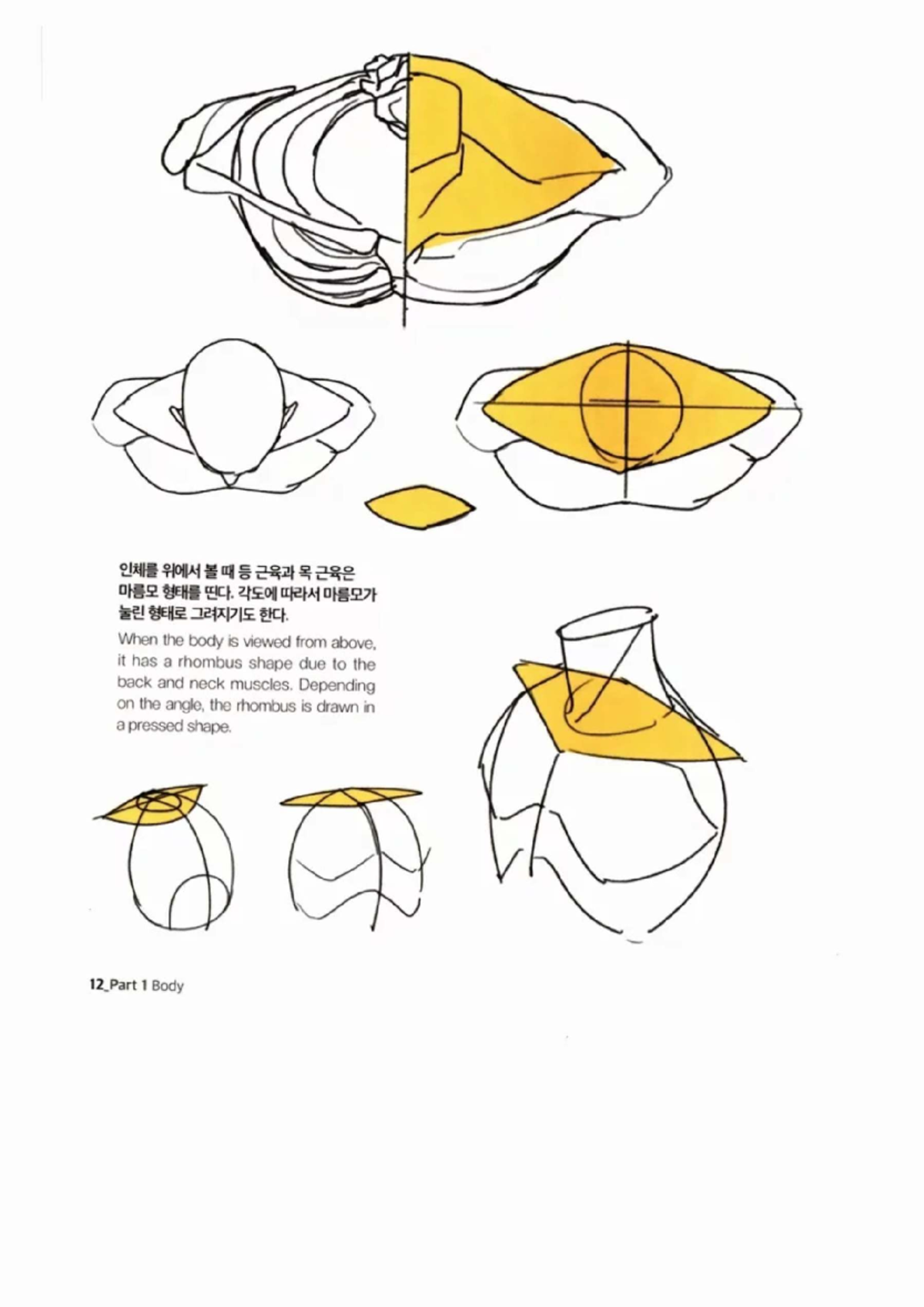 SO 2 HE FoIM Bl 282 OHES TICt w2tA B2 2 Body Drawing Techniques and ...