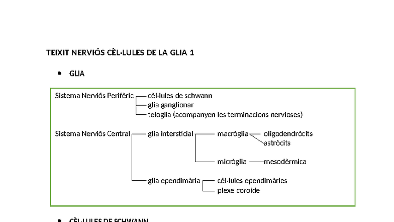 Teixit Nerviós i Cèl·lules de la Glia - Sistema Nerviós Central i ...