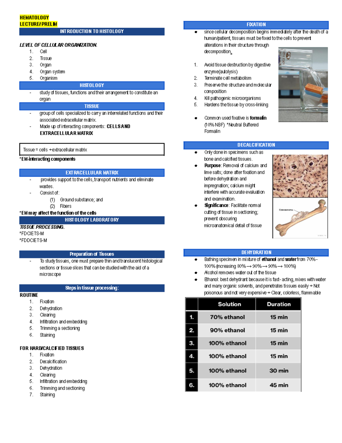 Human Histology - Study well - HEMATOLOGY LECTURE/ PRELIM INTRODUCTION ...