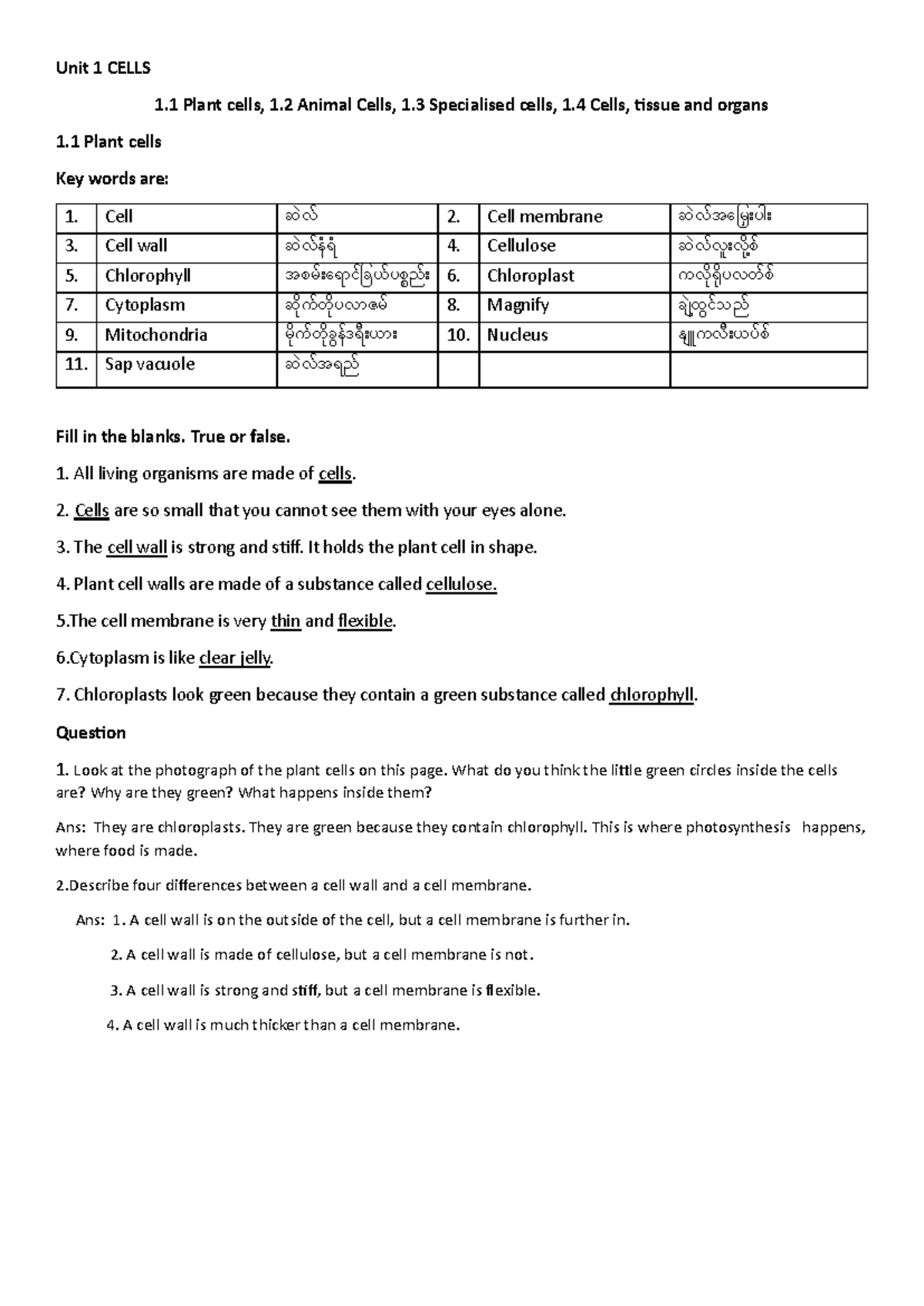 Unit 1 Biology Notes: Cells, Plant and Animal Cell Structures - Studocu