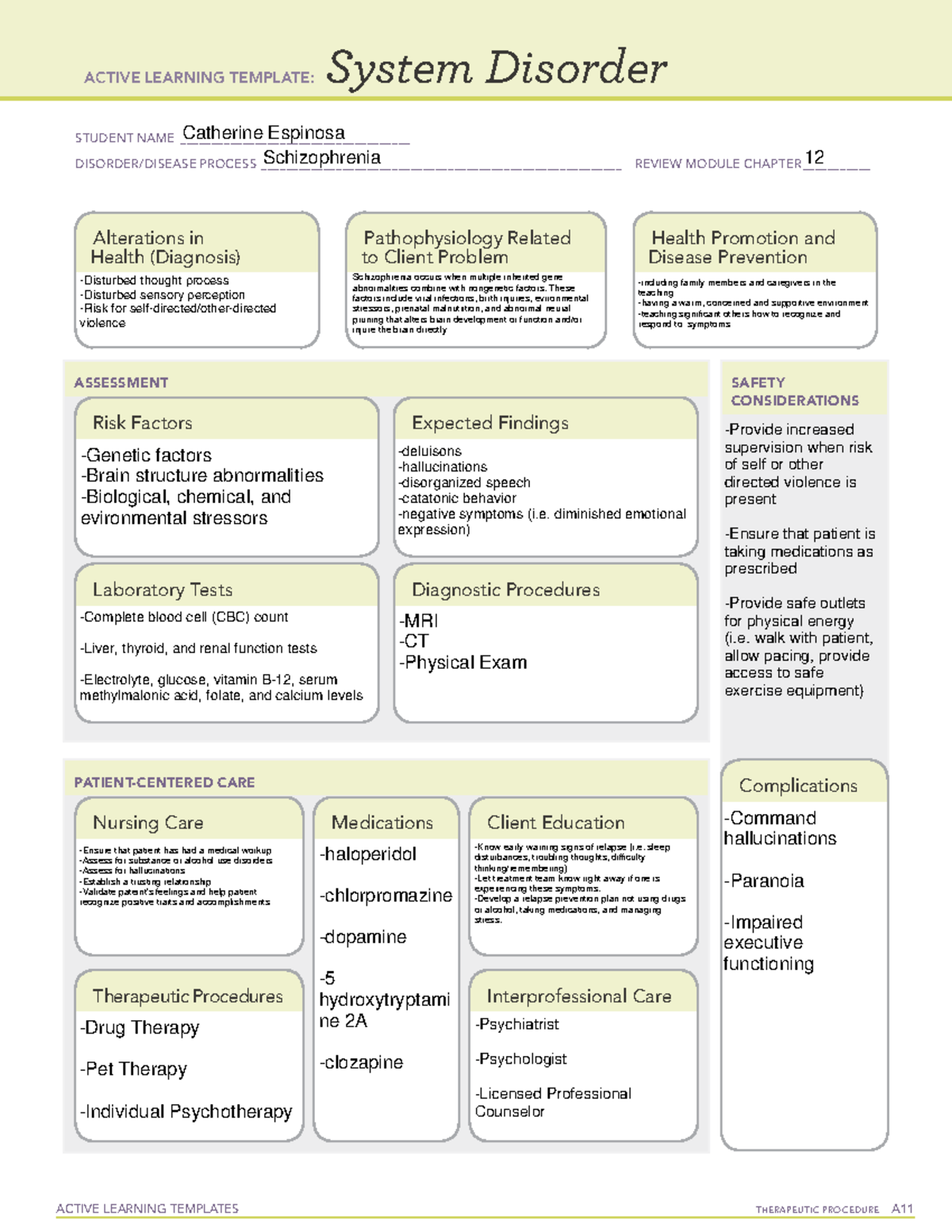 Schizophrenia System Disorder - ACTIVE LEARNING TEMPLATES THERAPEUTIC ...