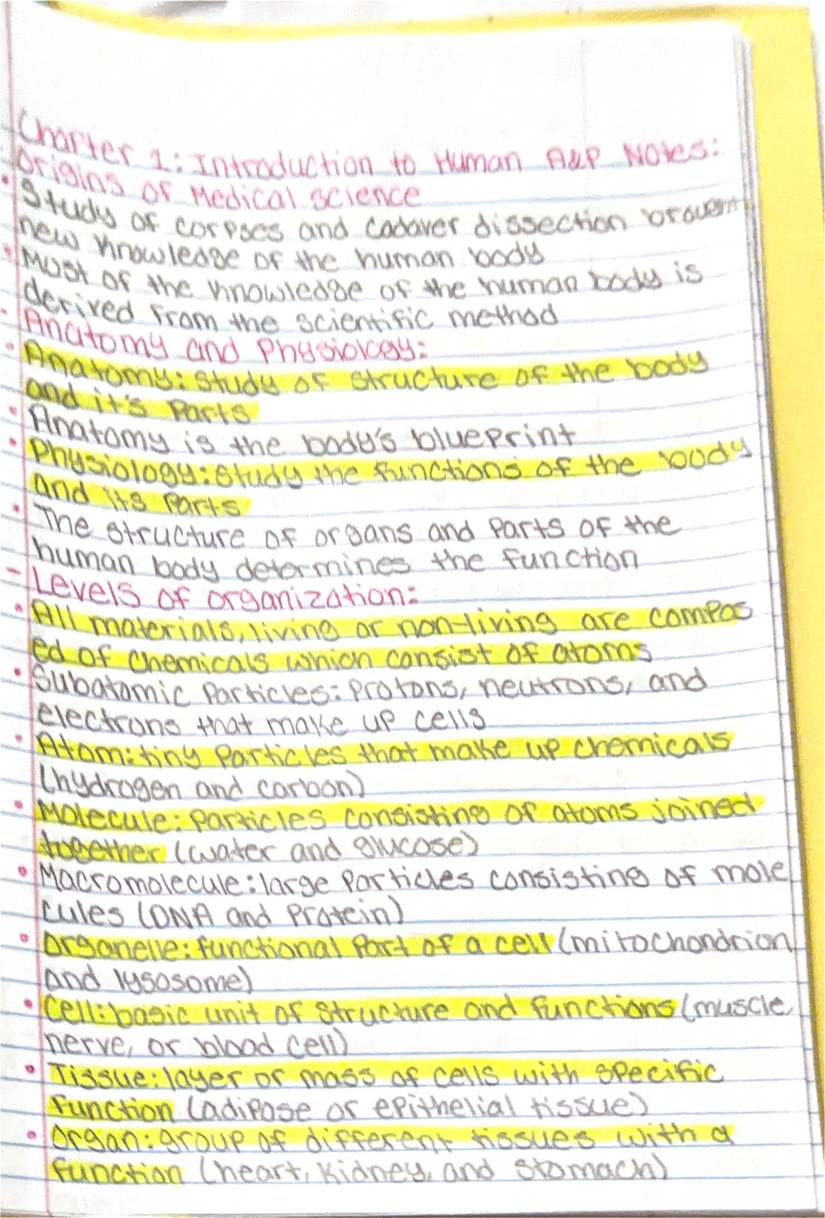 Anatomy & Physiology 101: Lecture Notes on Human Body Basics - Studocu
