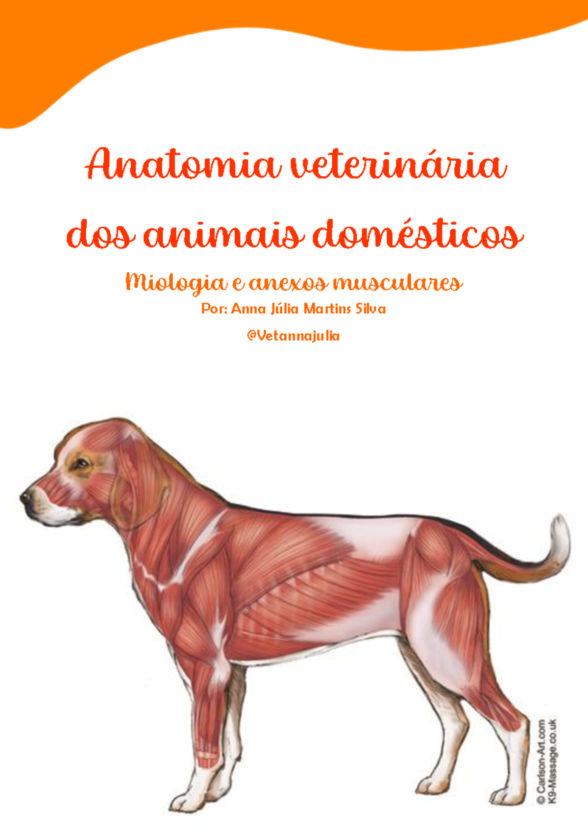 Apostila de Anatomia Veterinária: Miologia e Anexos Musculares ...