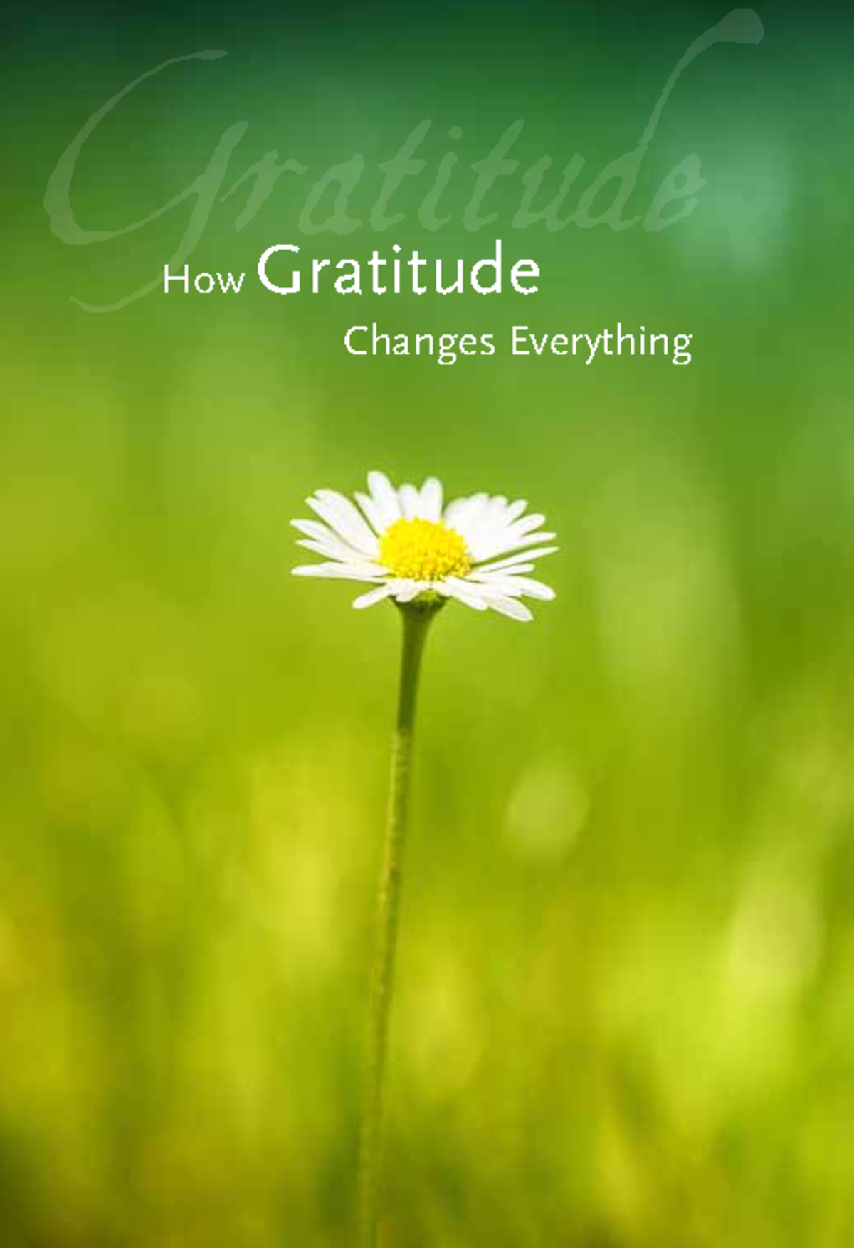 How Gratitude Changes Everything: Insights and Practices - Studocu