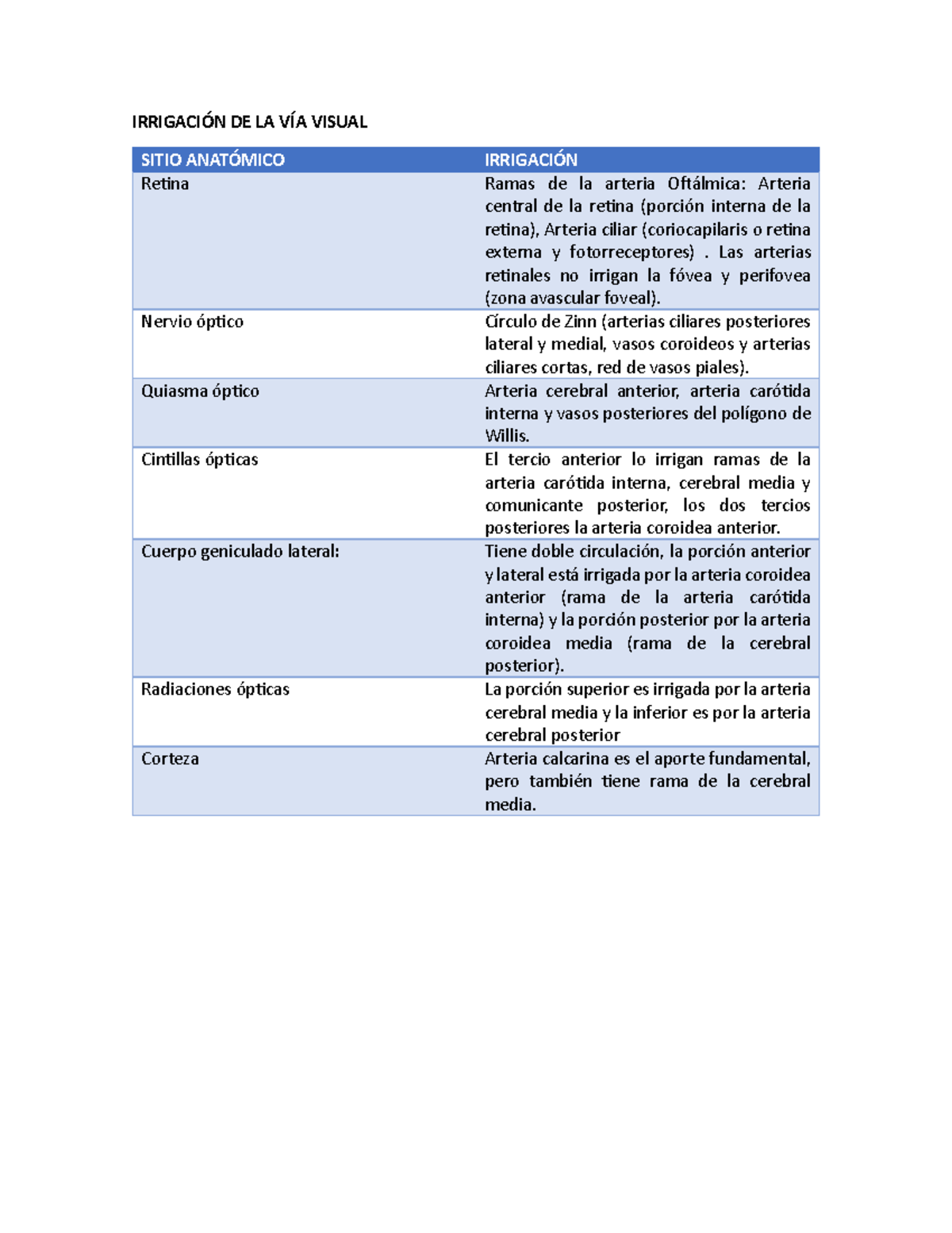 Irrigación de la Vía Visual: Anatomía y Circulación - Estudio Completo ...