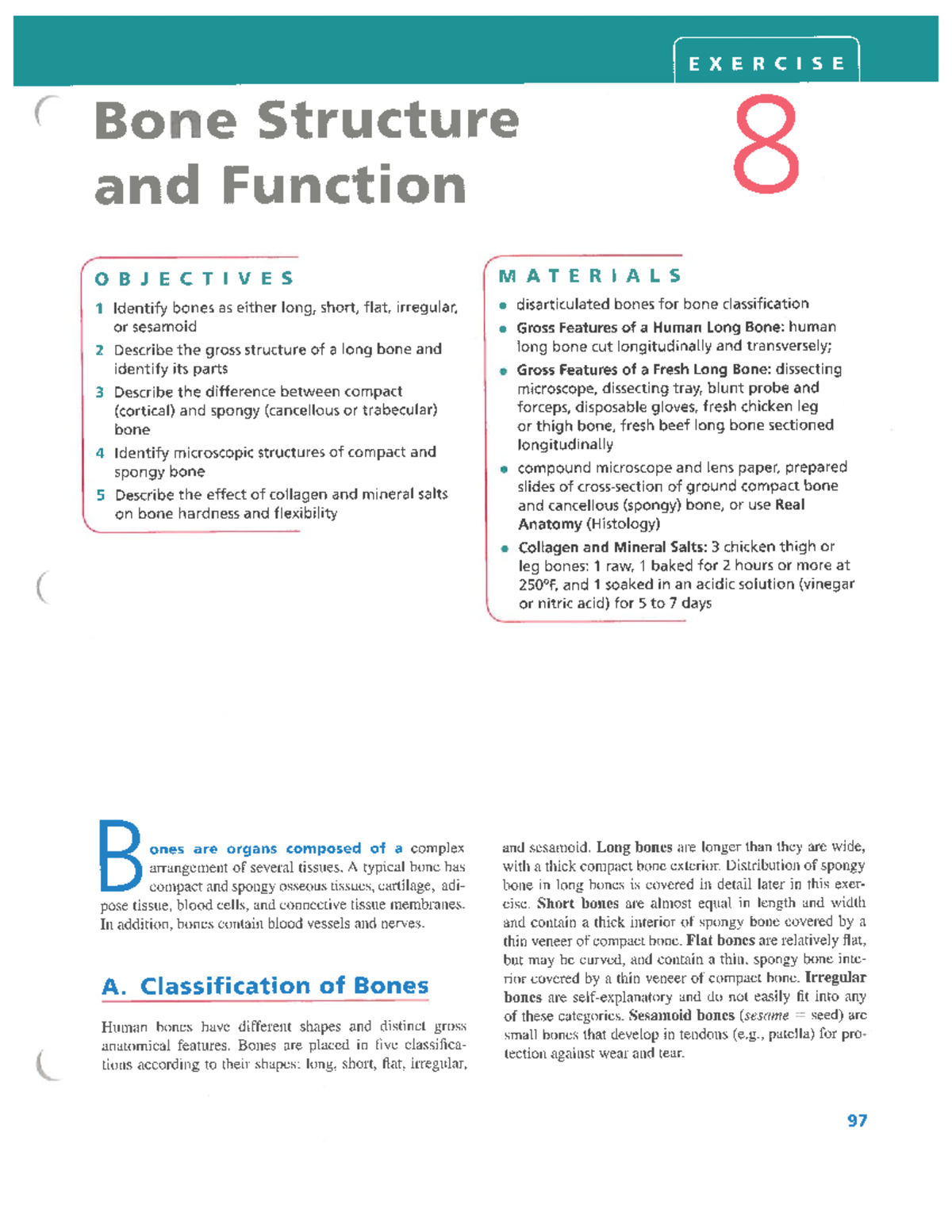 EXERCISE 8: Bone Structure and Function - Anatomy & Physiology Lab ...