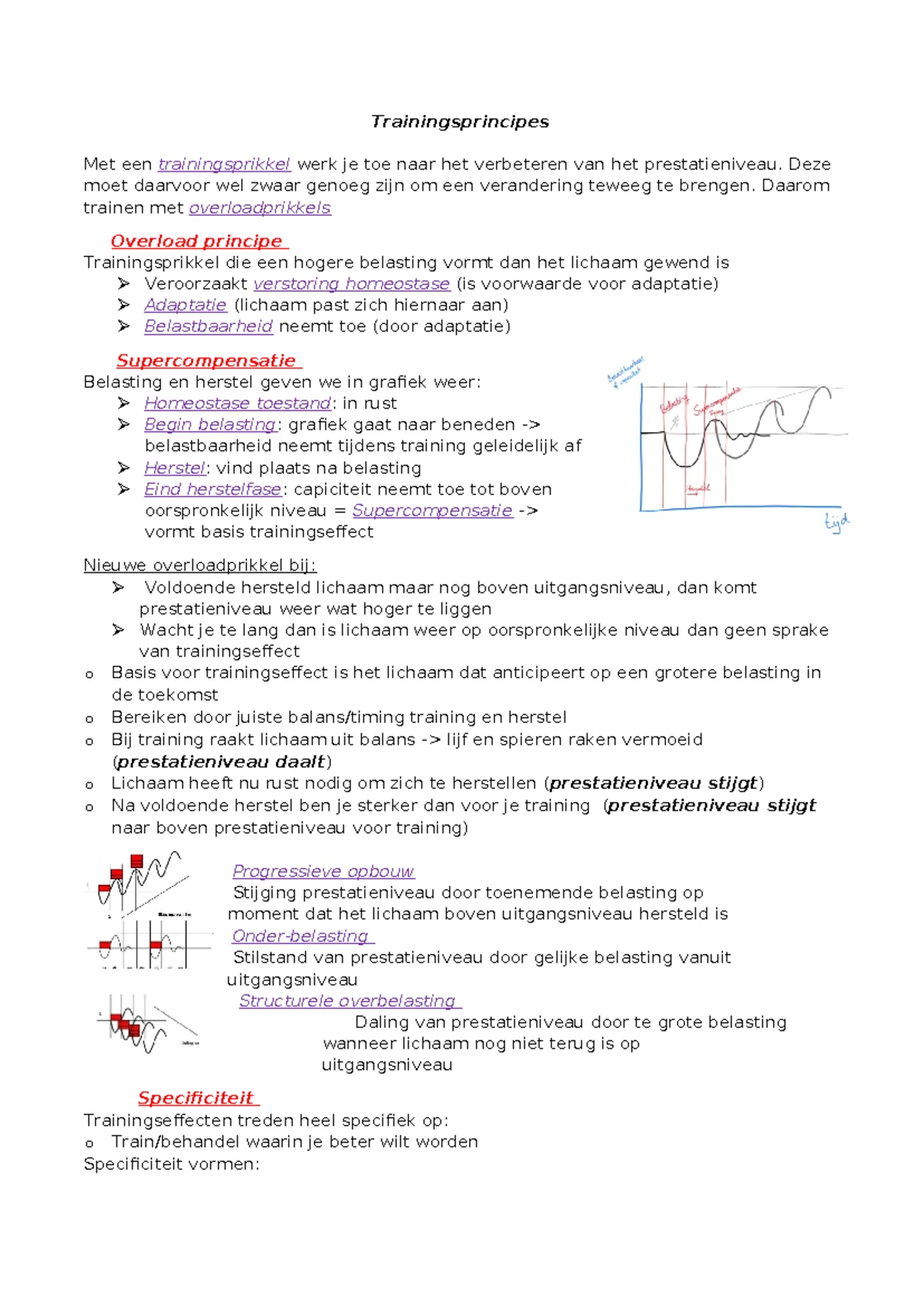 Anatomie van de Onderste Extremiteiten: Voet en Knie Structuren ...