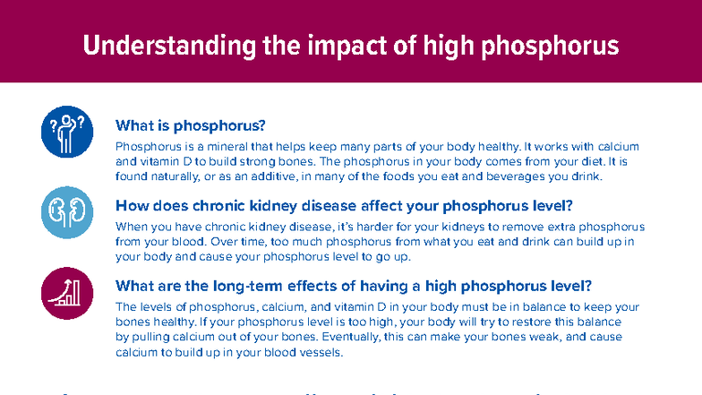 Impact of High Phosphorus on Health: A Comprehensive Overview - Studocu