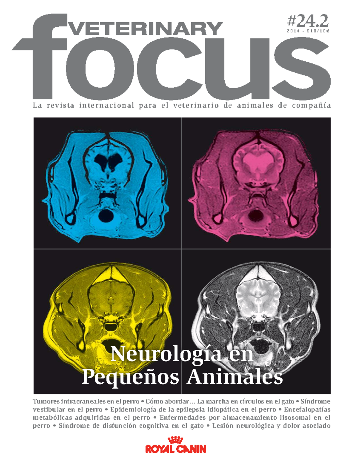 Tumores Intracraneales en el Perro: Diagnóstico y Tratamiento - Veterinary Focus - Studocu