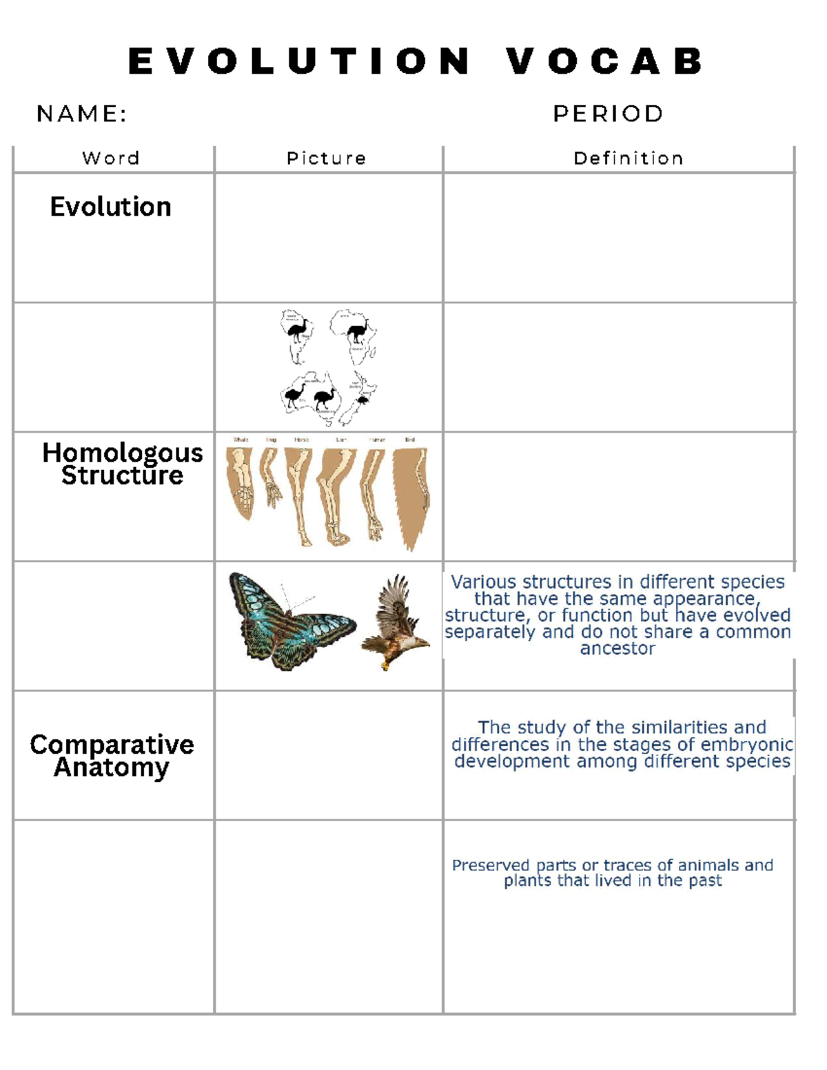 Unit 8A Evolution Vocab Notes - N A M E :W o r dE V O L U T I O NP i c ...