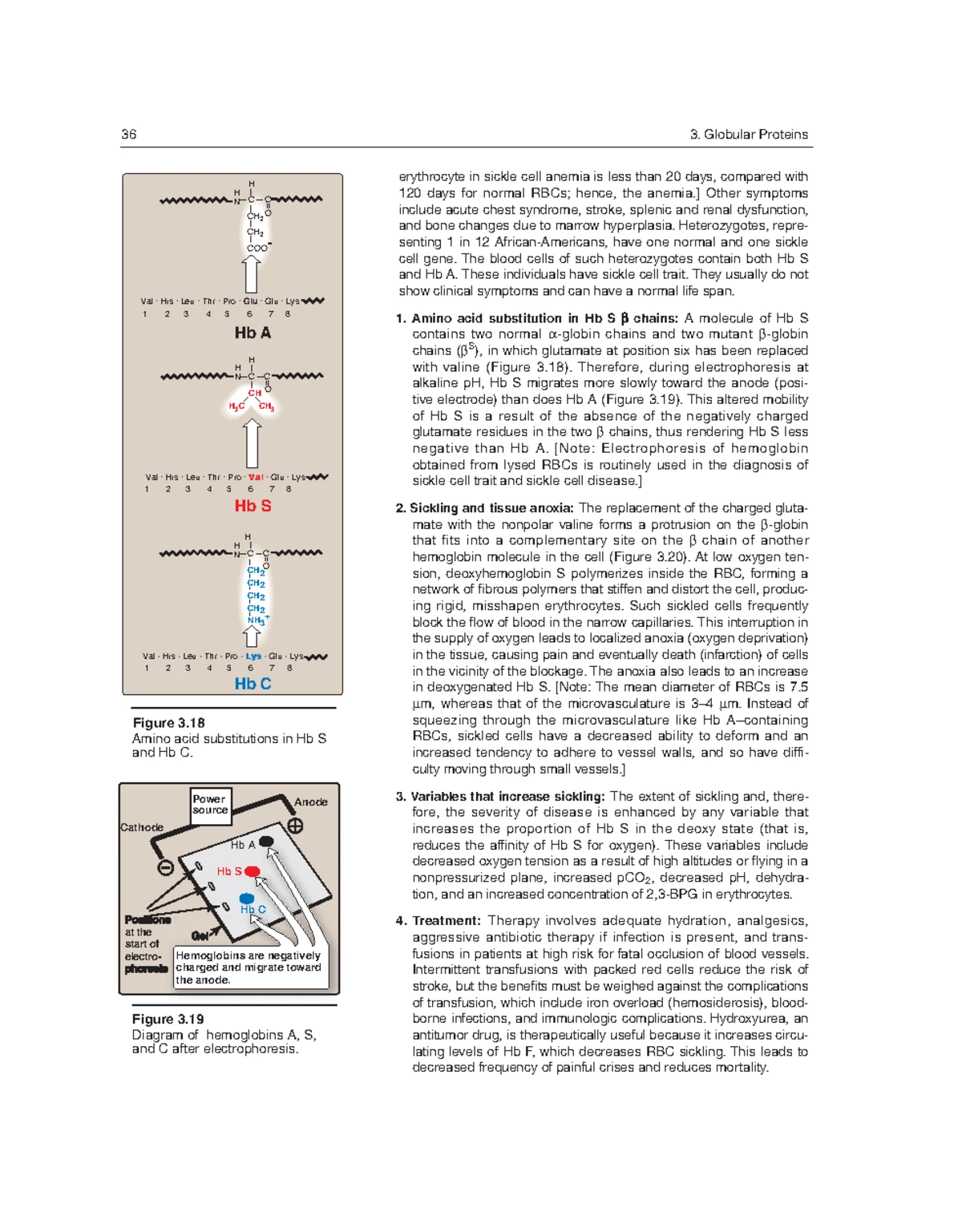 Biochemistry (2)-67 - N/A - Chapter 6 Proteins: Secondary, Tertiary ...