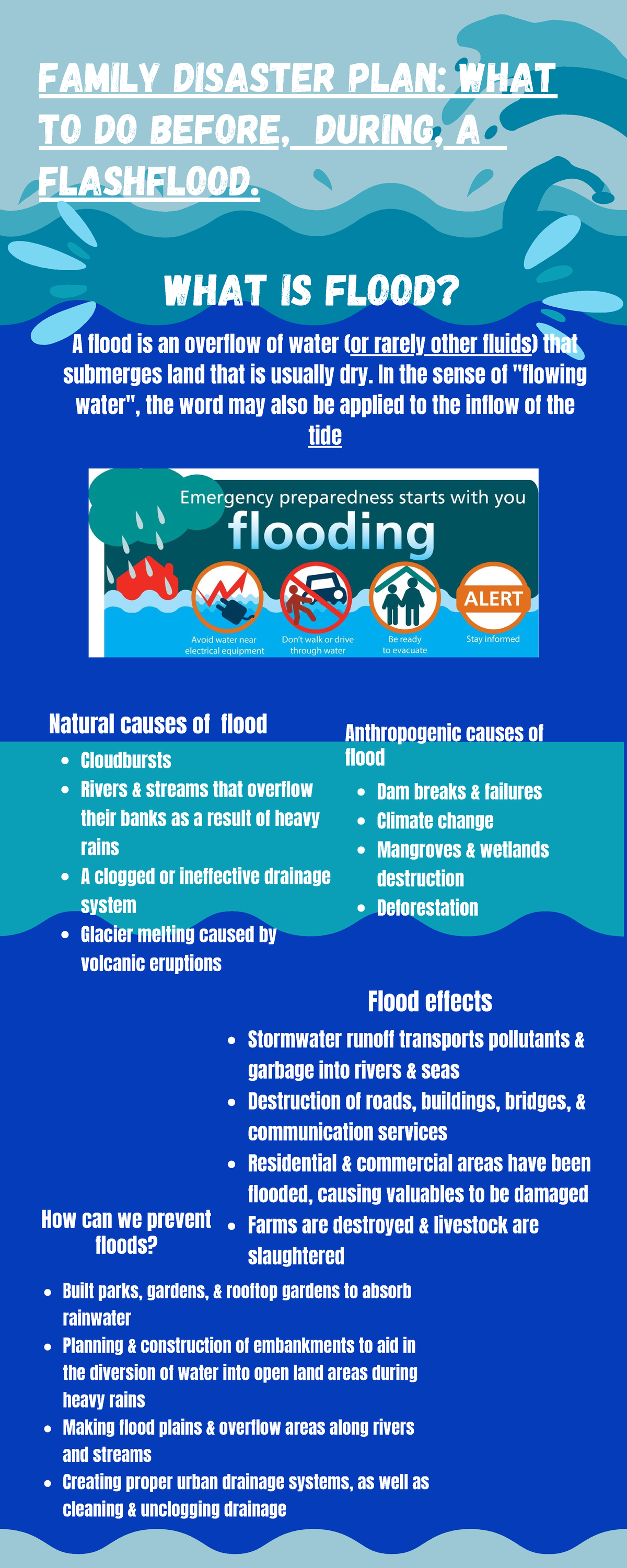 Family Disaster Plan for Flood Situations: Preparation & Response Guide ...