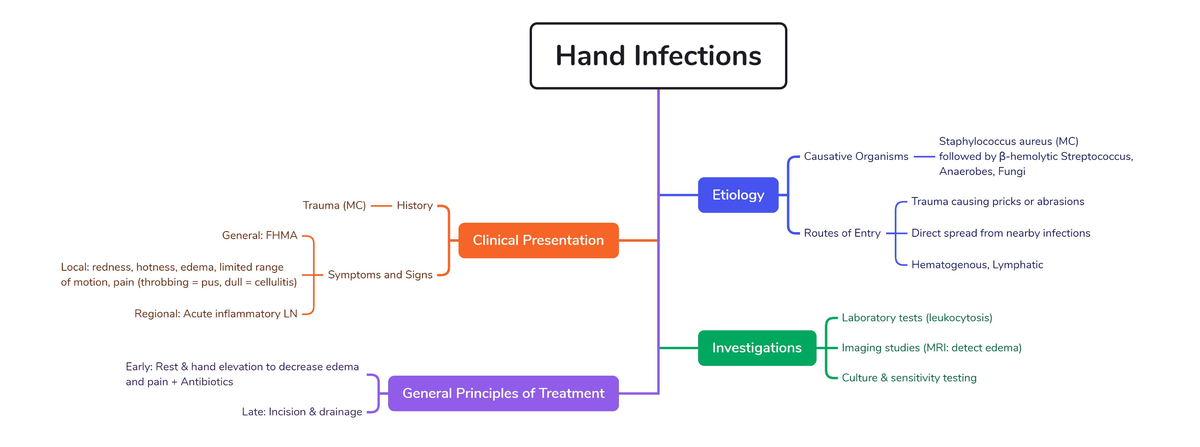 Hand Infections Summary (MC): Causative Organisms & Treatment ...