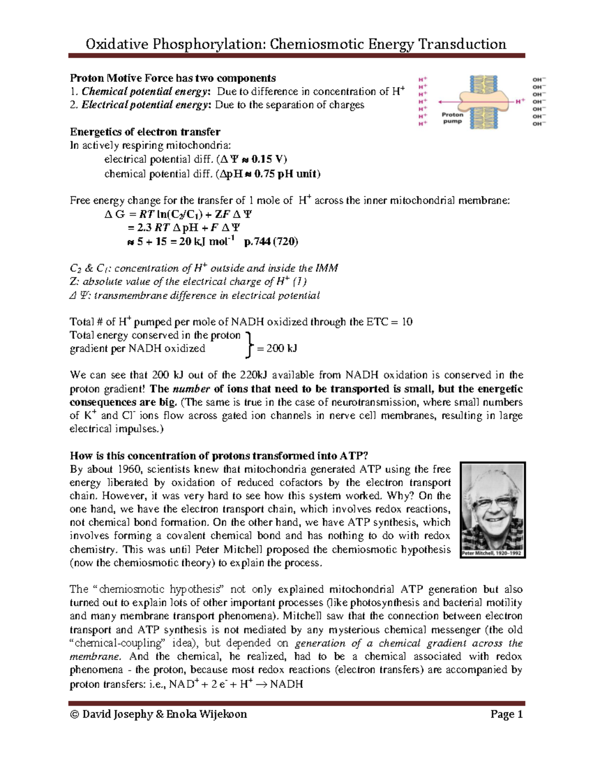 [12] Oxidative Phosphorylation: Chemiosmotic Energy Transduction ...