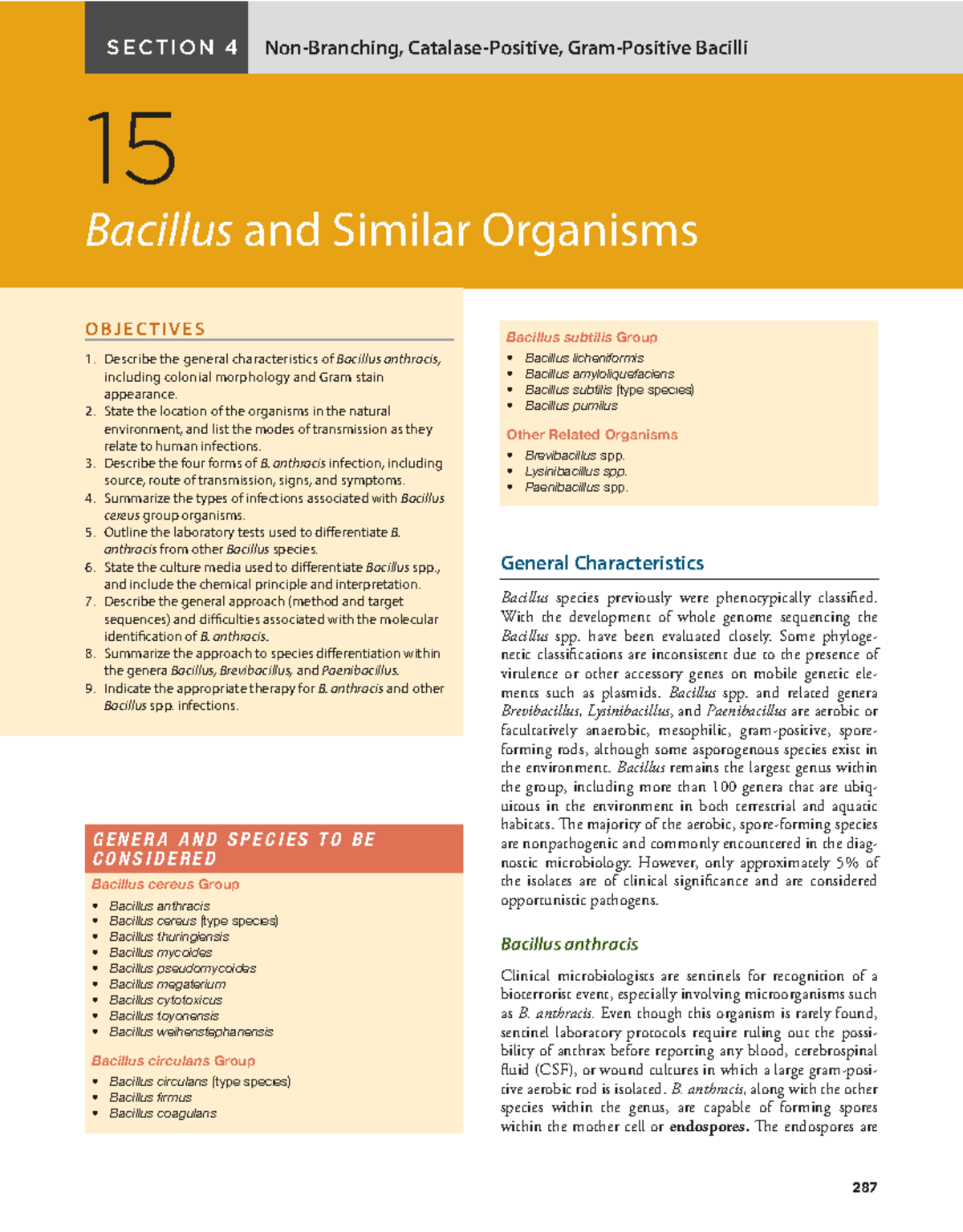 15 - Bacillus and Related Organisms: Characteristics and Infections ...