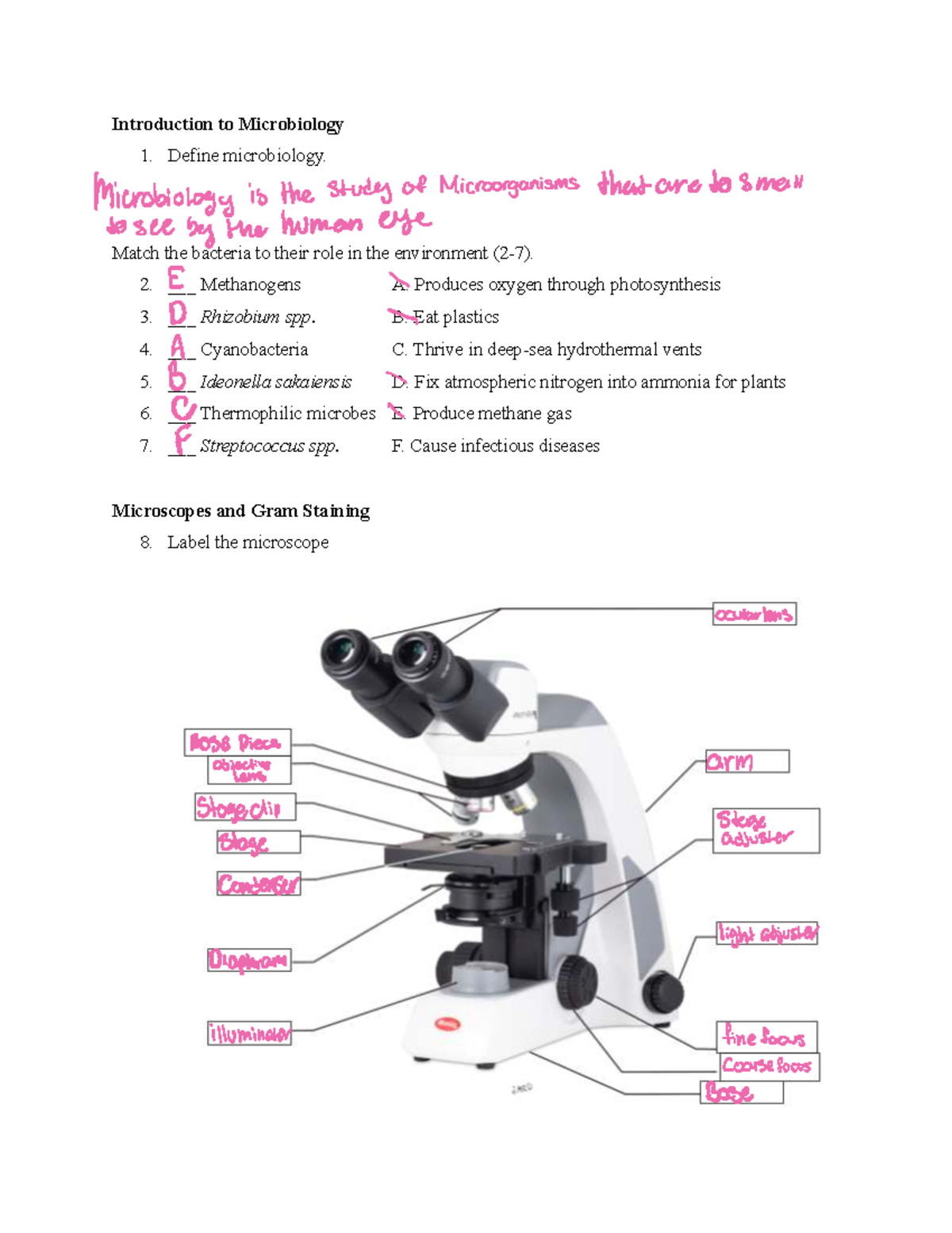 Microbiology Study Guide: Key Concepts & Techniques (BIO 101) - Studocu