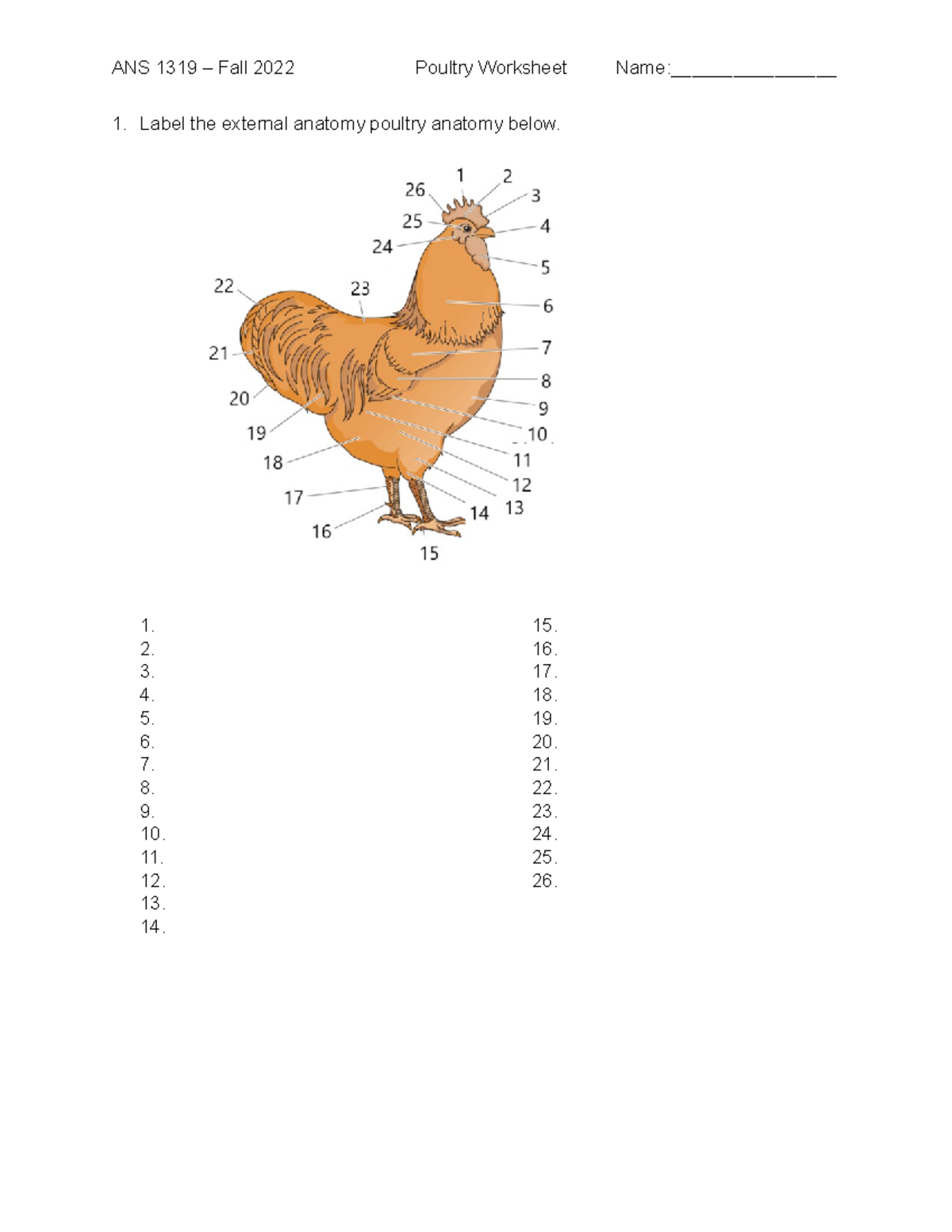 ANS1319 Fall2022 Assignment 7 Poultry Worksheet - Label the external ...