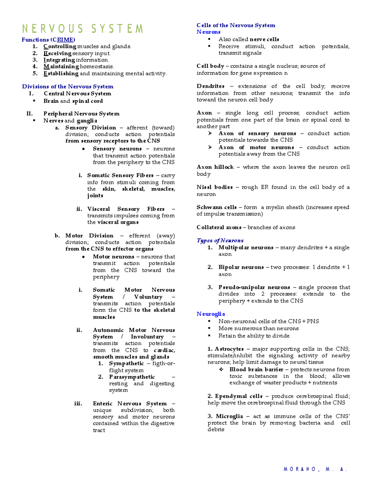 Nervous System - Nursing Note - N E R V O U S S Y S T E M Functions ...
