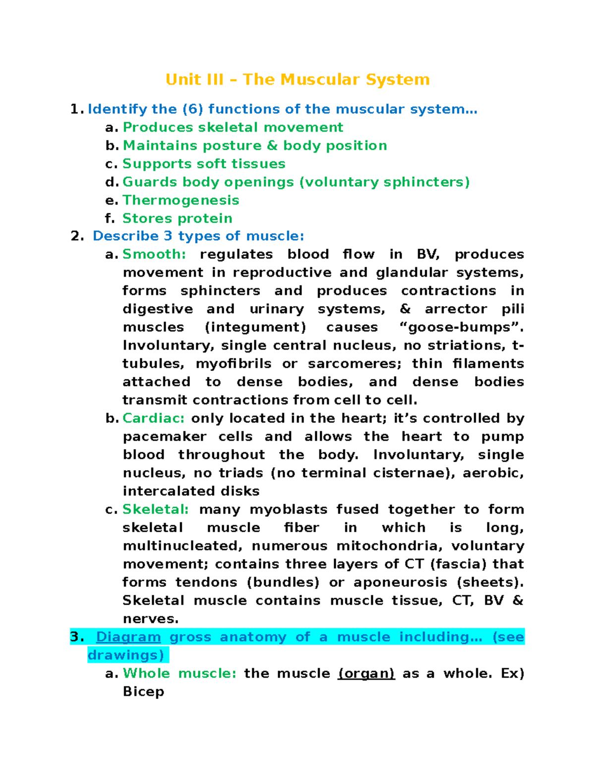 Unit III The Muscular Sys Lecture Study Guide - Unit III – The Muscular ...