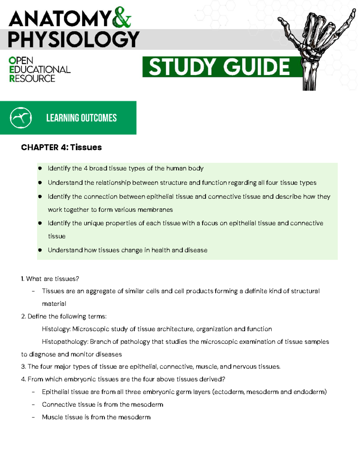 CHAPTER 4 STUDY GUIDE: Tissues Overview and Functions - Studocu