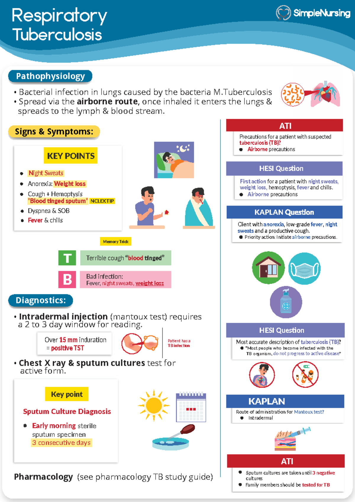 Respiratory - Tuberculosis (TB) Pathophysiology & Nursing ...