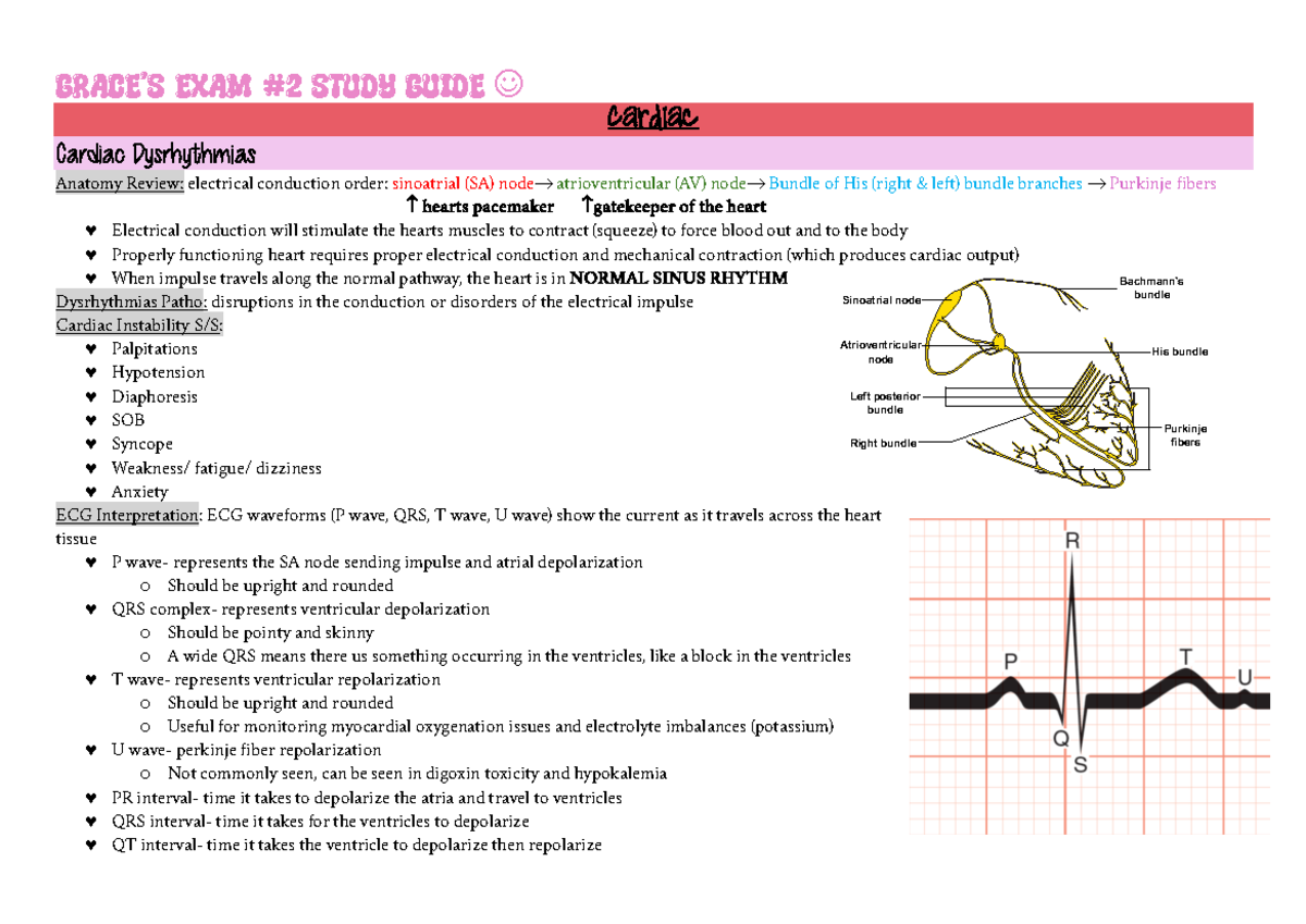Grace exam 2 study guide - Grace’s Exam #2 Study Guide J Cardiac ...