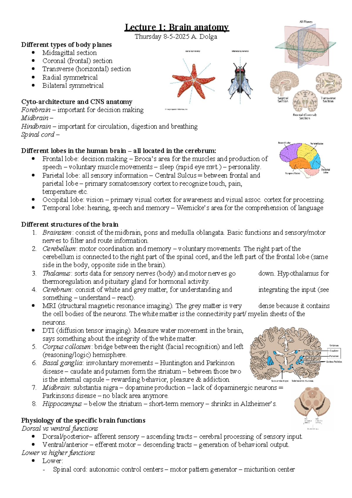 MG- CNS Lecture Overview: Brain Anatomy and Disorders - Studeersnel