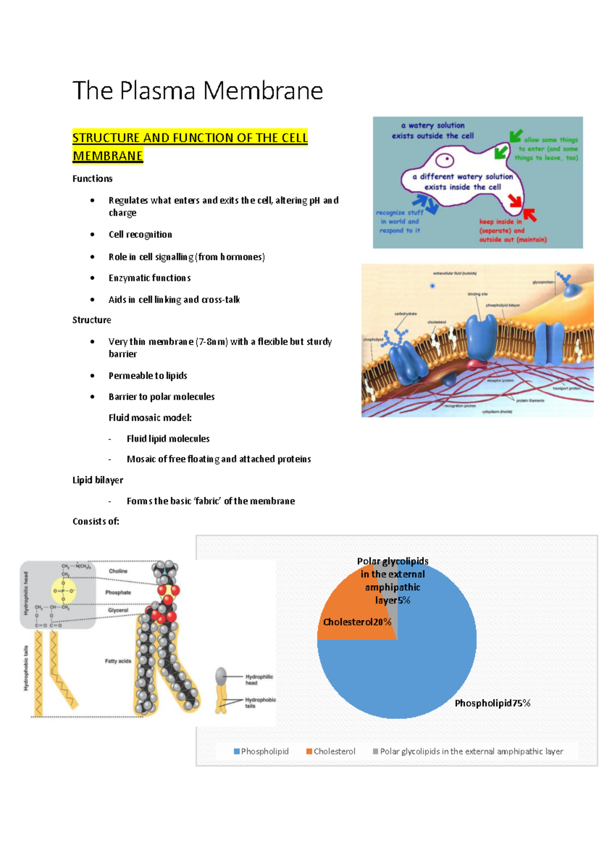 7. The plasma membrane - Warning: TT: undefined function: 32 Warning ...