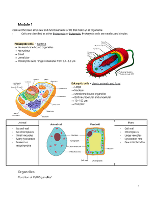 Bio prac sac - practice exam - VCE Biology Unit 3 AOS 1 Practise SAC ...