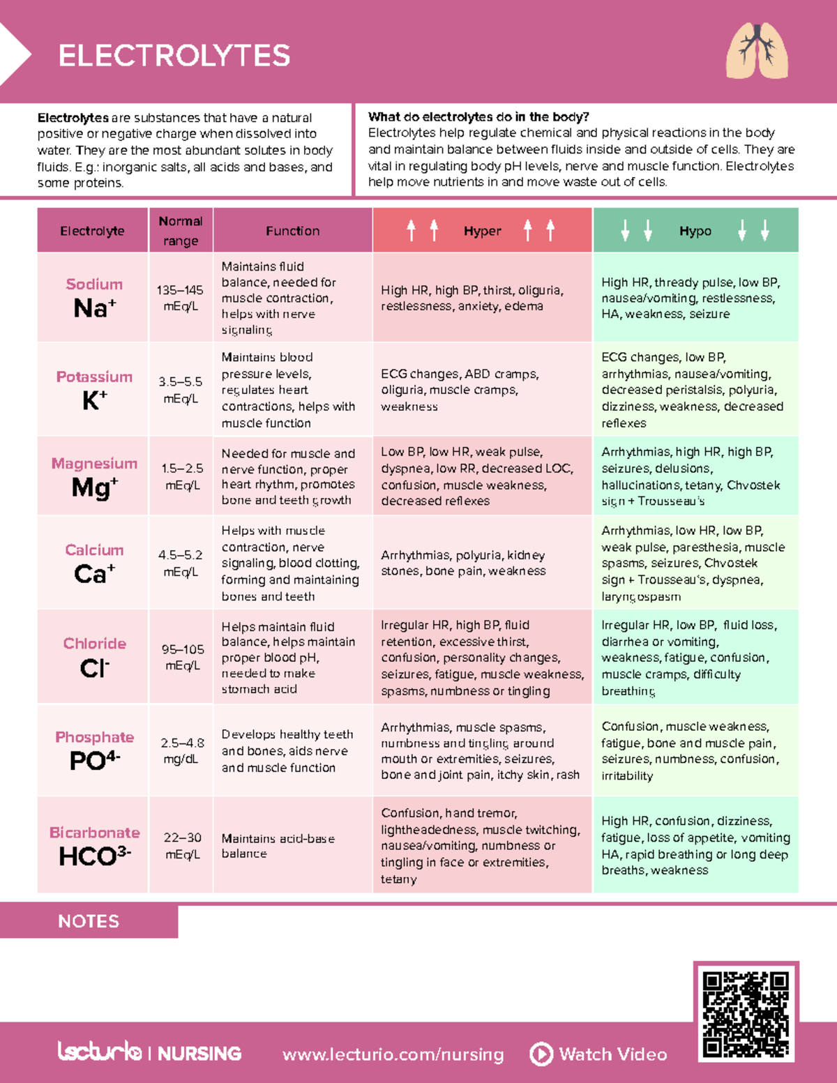Nursing CS Electrolytes Notes: Functions & Balance Overview - Studocu