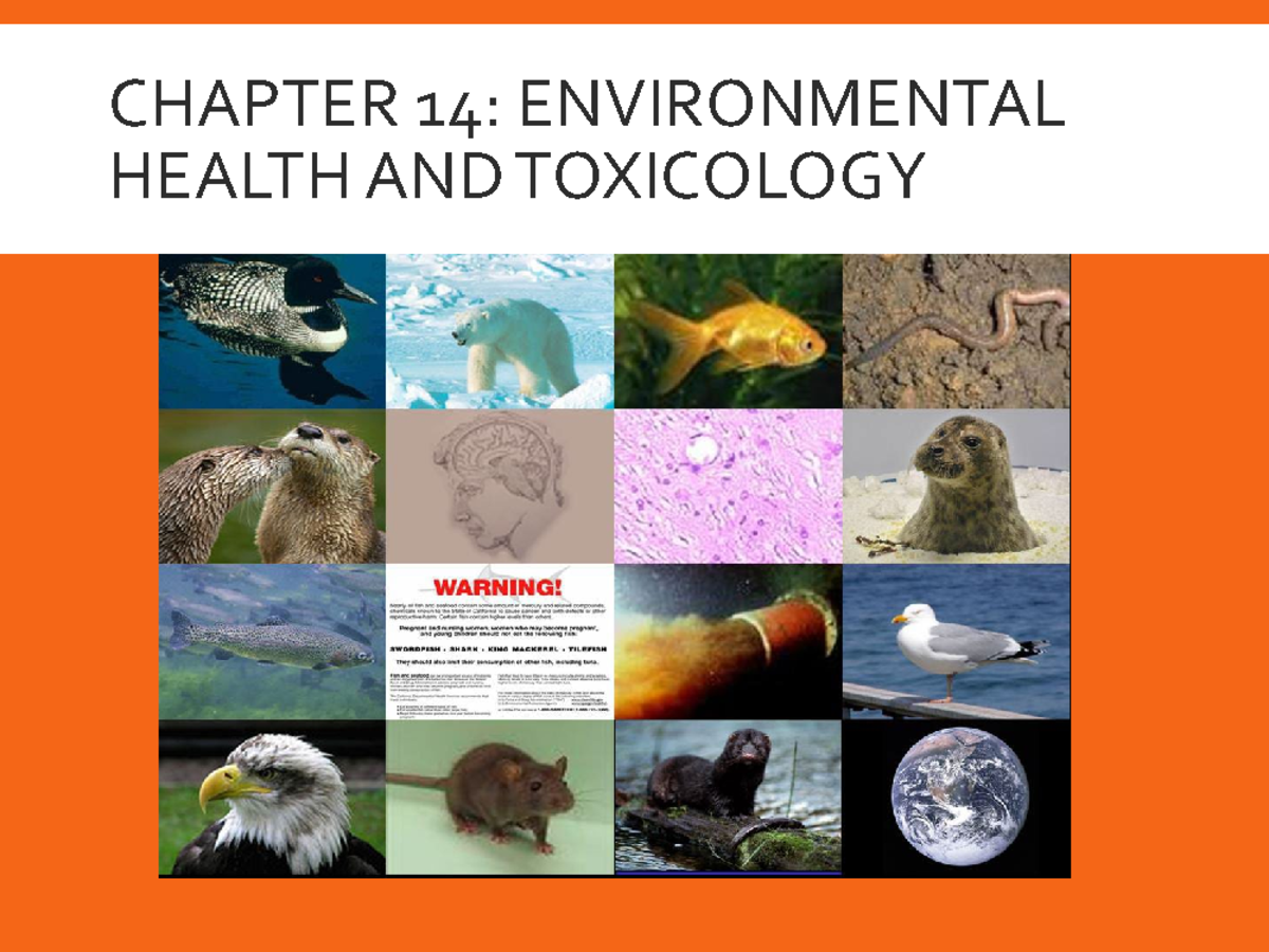 Chapter 14: Environmental Health & Toxicology Lecture Notes - Studocu