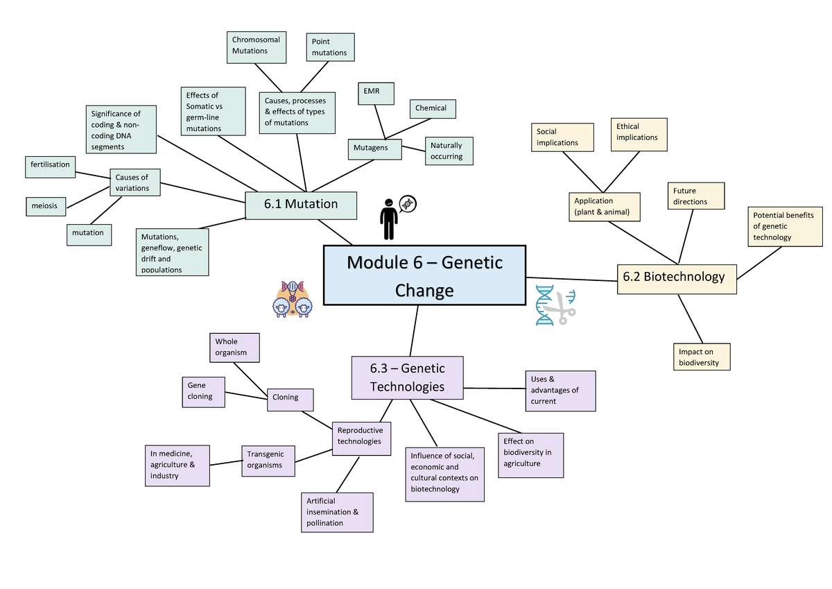Module 6 Mind Map - mindmap - Mutagens Chromosomal Mutations Point mutations Significance of ...