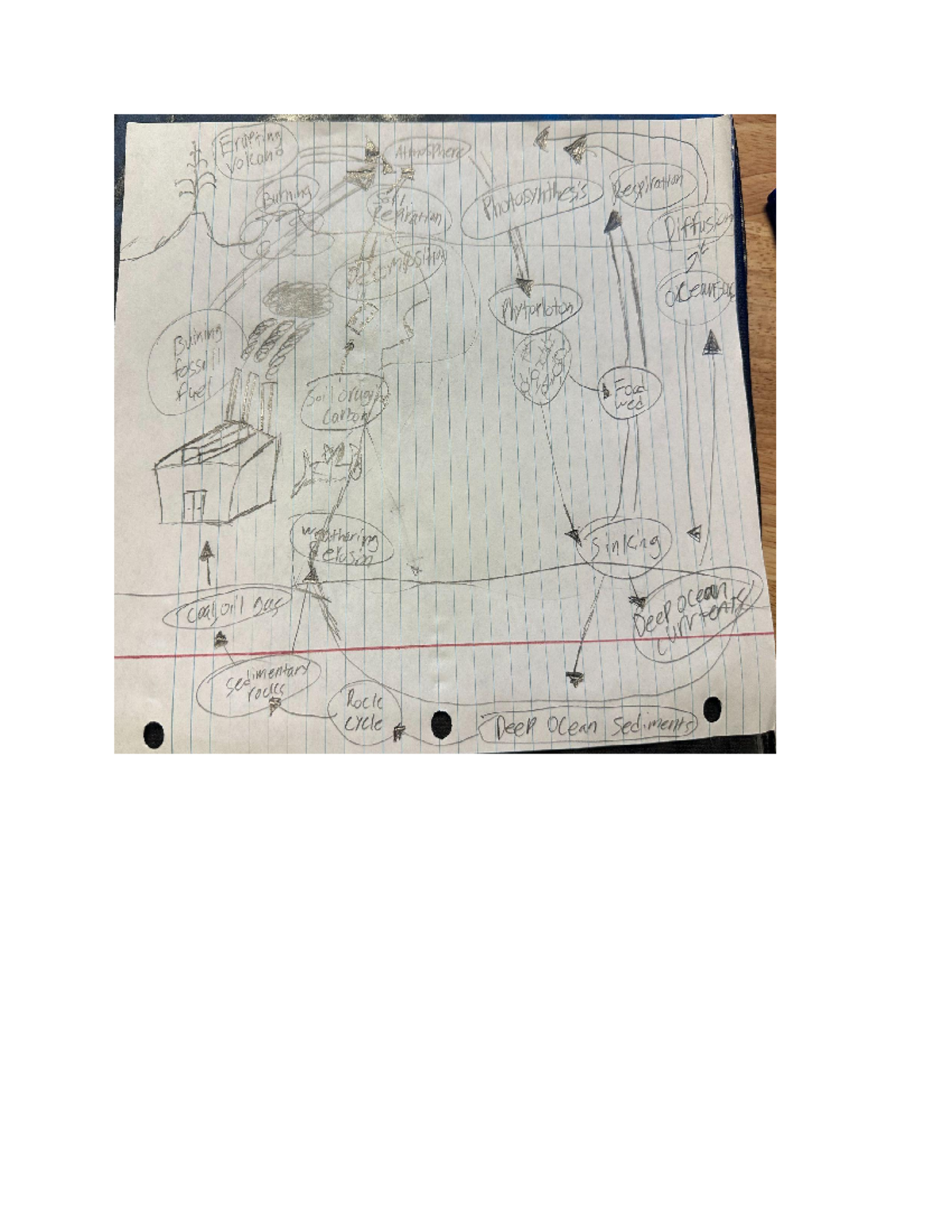 Carbon Cycle Models: Student Guide for Understanding Processes - Studocu