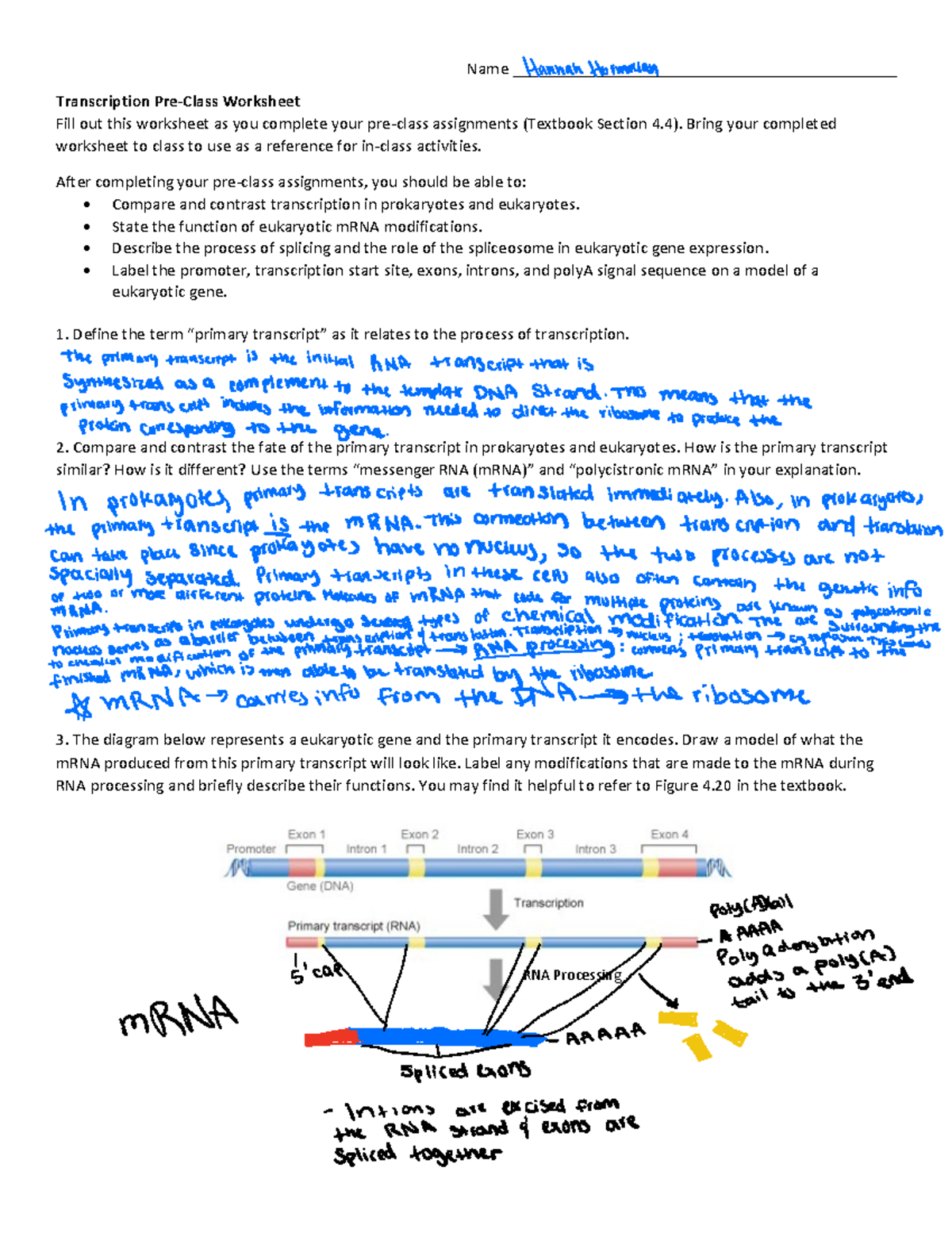 Week+5b+Pre-Class+Reading+Guide+-+Transcription - Name