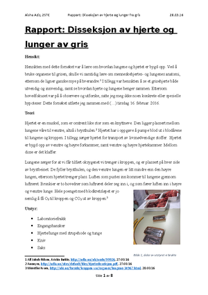 Respirasjonssystemet hos insekter, fugler, leddormer og fisk - Tirsdag ...